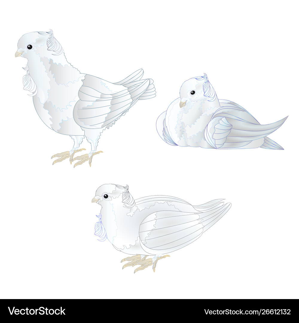 Ornamental white doves cute small birds set Vector Image