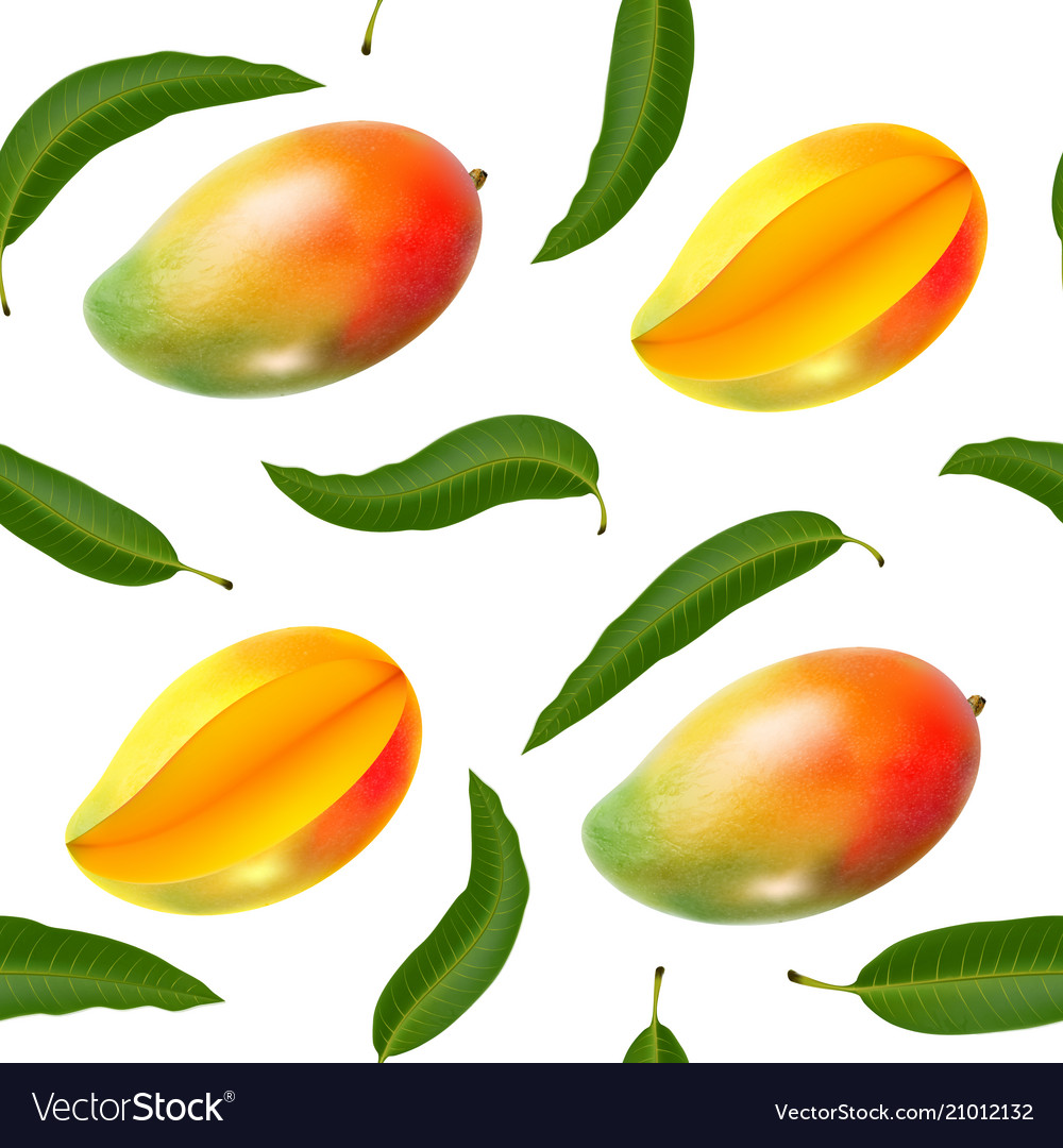 Seamless pattern with realistic mango Royalty Free Vector