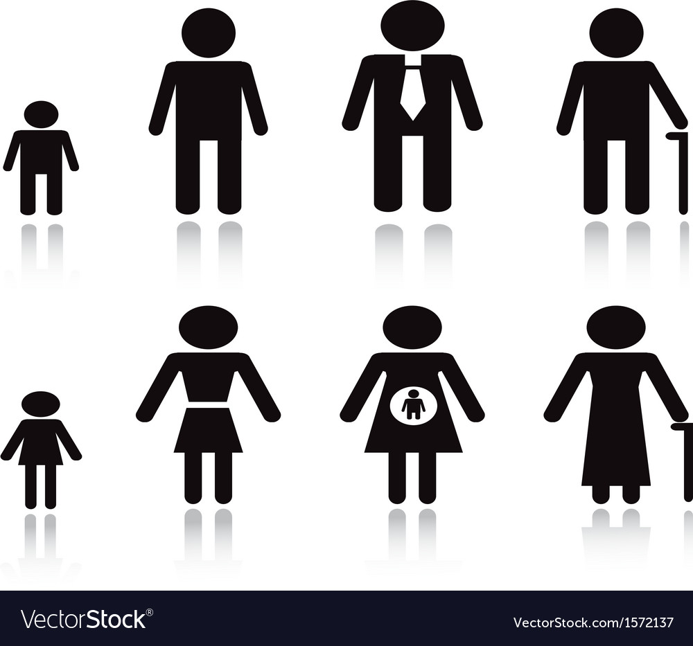 Life stage Royalty Free Vector Image - VectorStock