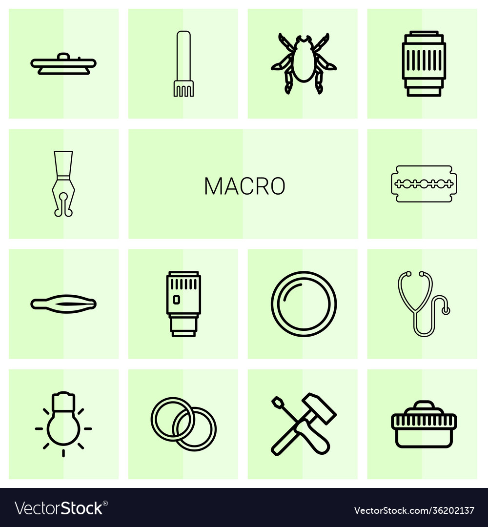 Macro icons Royalty Free Vector Image - VectorStock