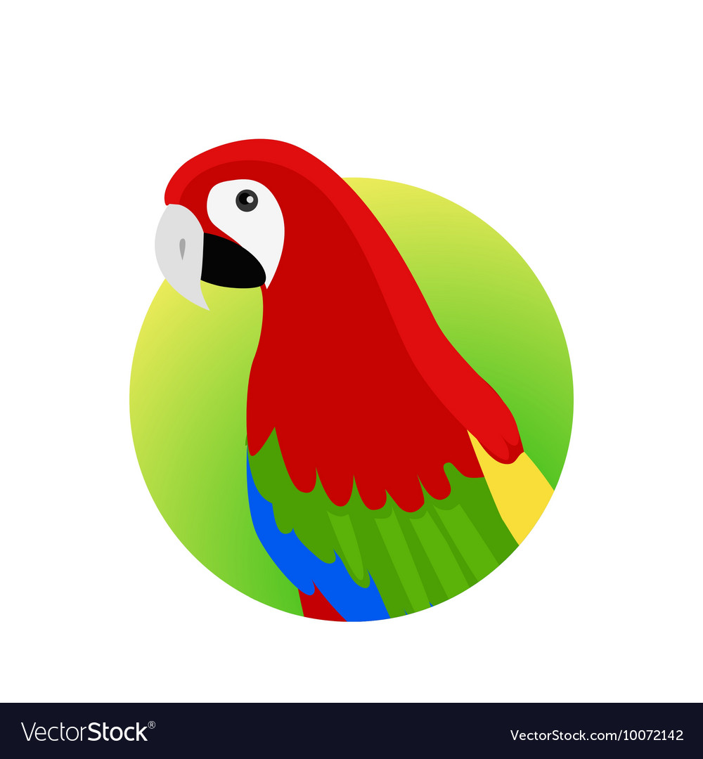 Ara Parrot Flat Design Royalty Free Vector Image