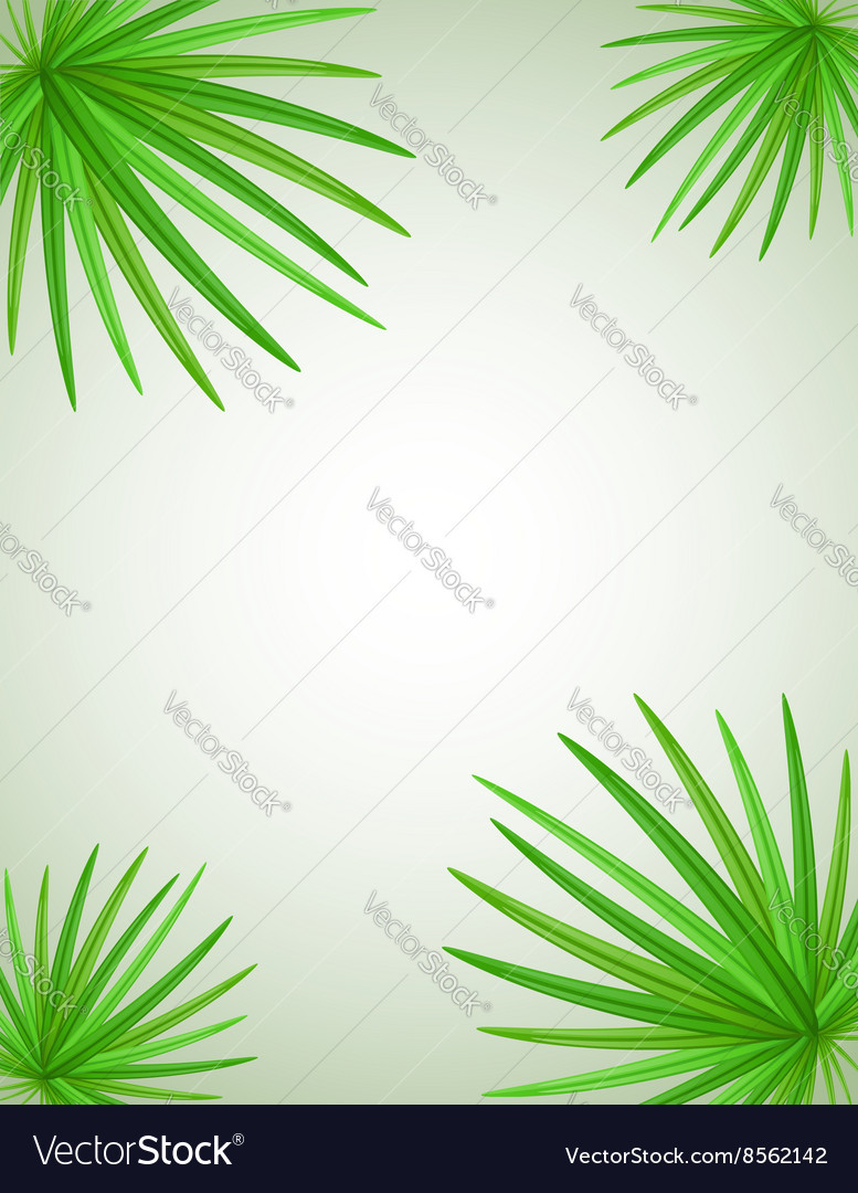 Palm branch 02 Royalty Free Vector Image - VectorStock