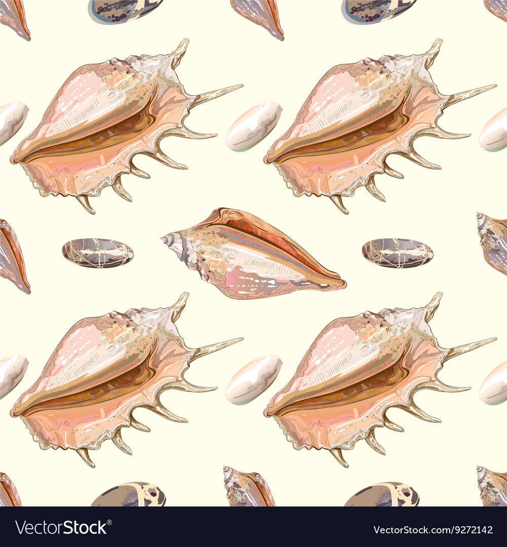Sea shell seamless pattern Royalty Free Vector Image