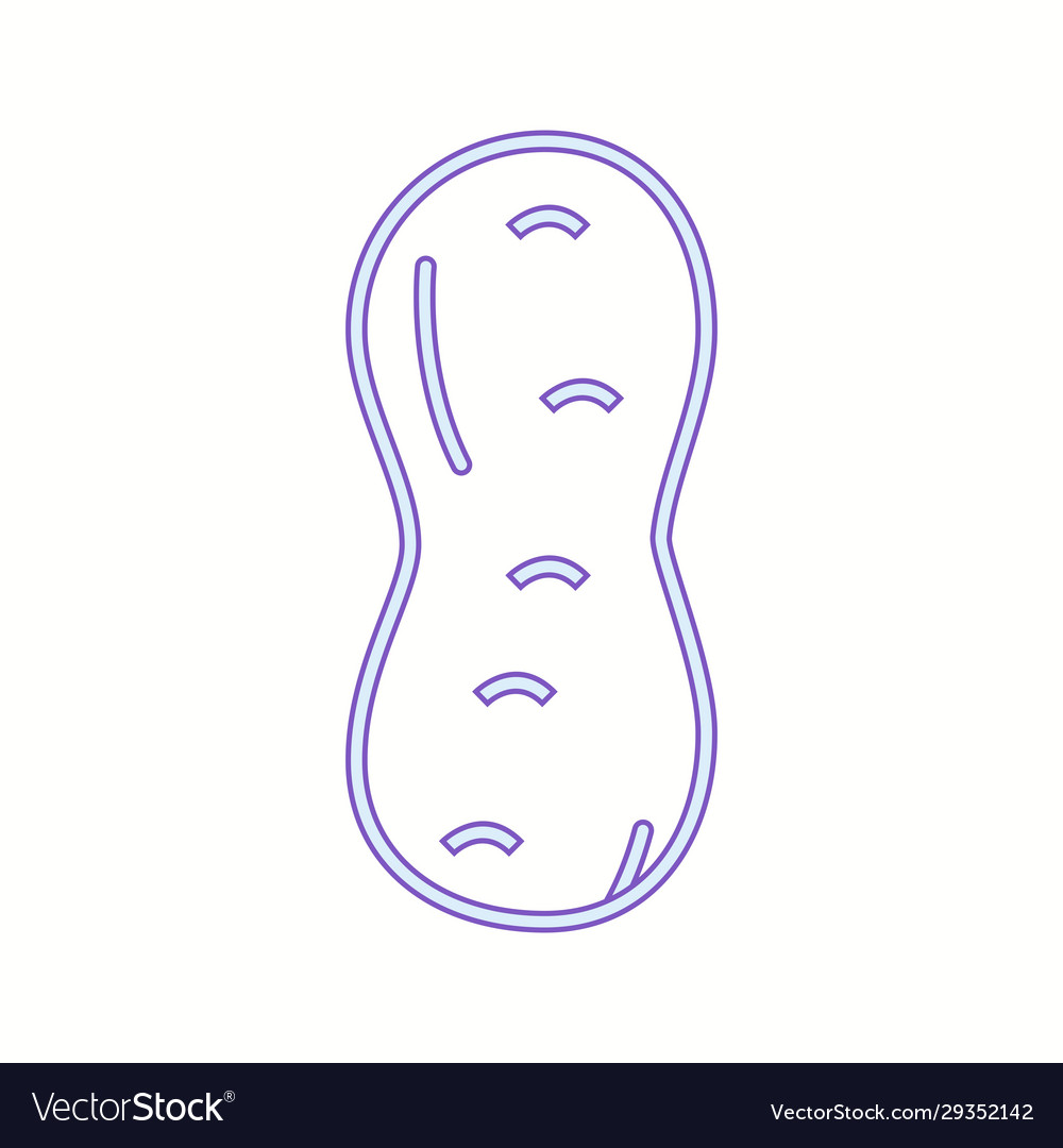 Unique peanut line icon Royalty Free Vector Image
