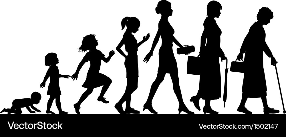 Ages of woman Royalty Free Vector Image - VectorStock