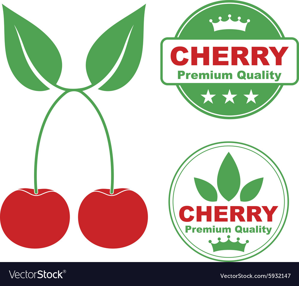 Cherry Royalty Free Vector Image - VectorStock