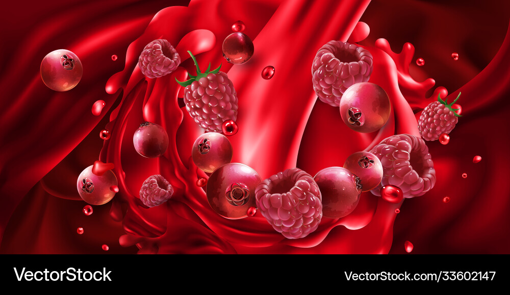 Cranberries and raspberries in red fruit juice Vector Image