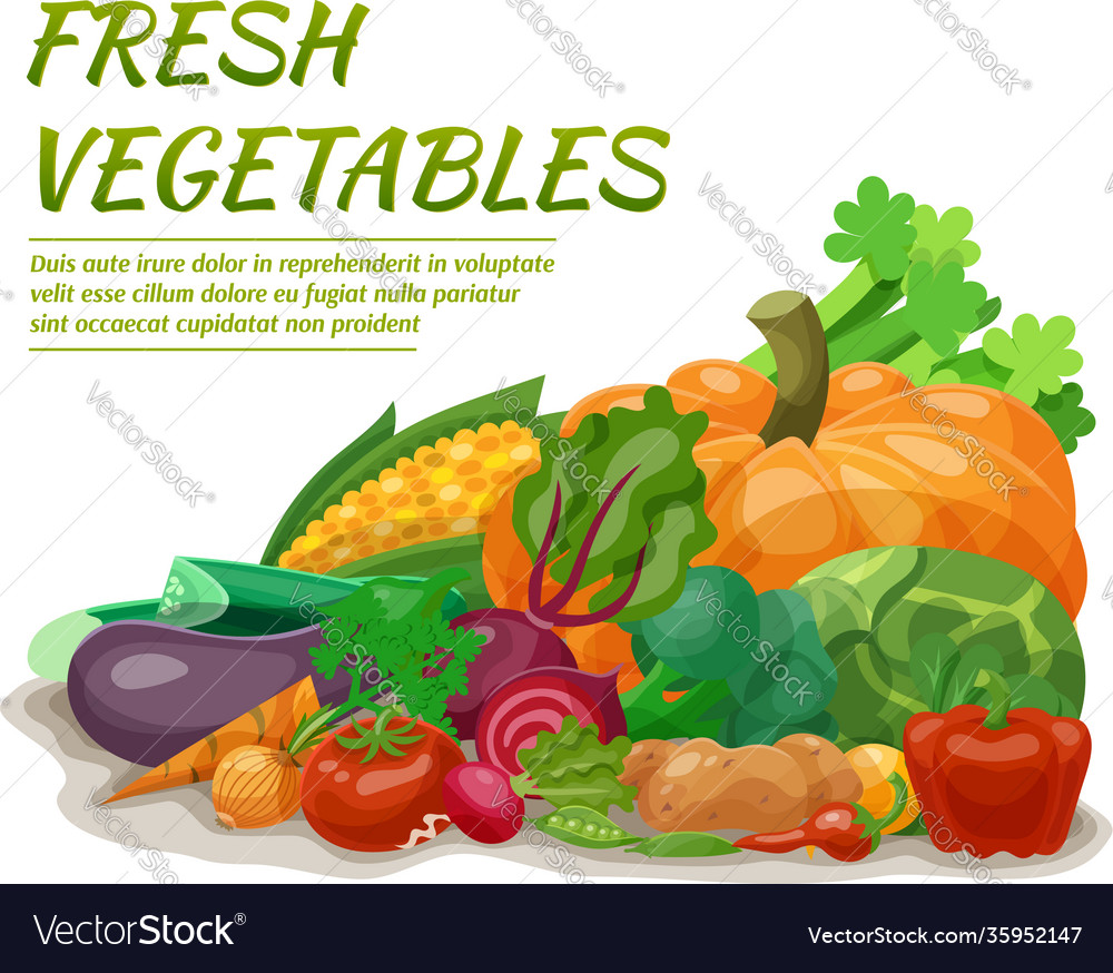 Fresh vegetables Royalty Free Vector Image - VectorStock
