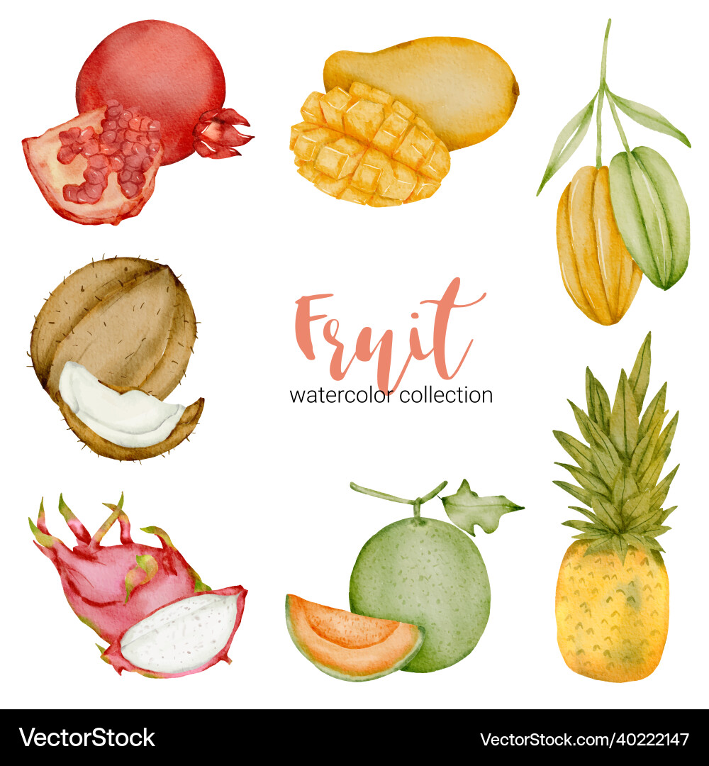 Mix fruit in watercolor collection flat on white Vector Image