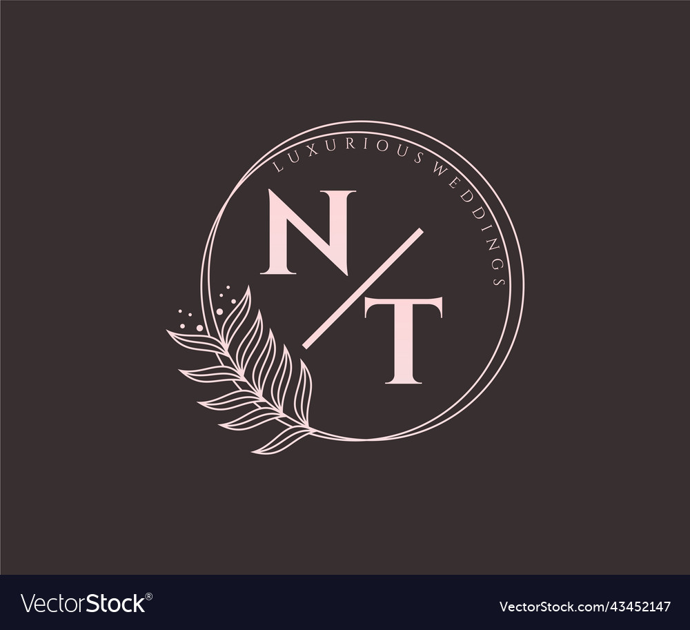 Nt initials letter wedding monogram logos Vector Image