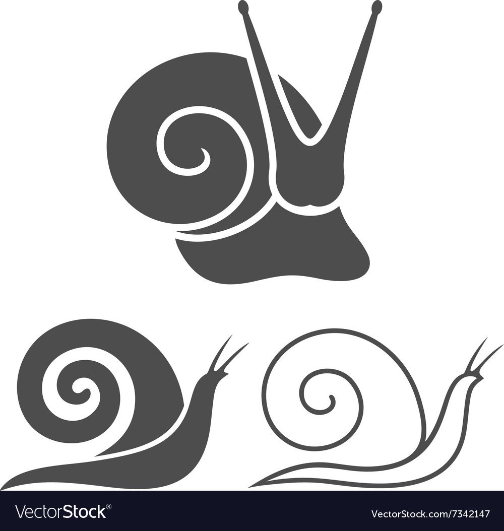 Snail Royalty Free Vector Image - VectorStock