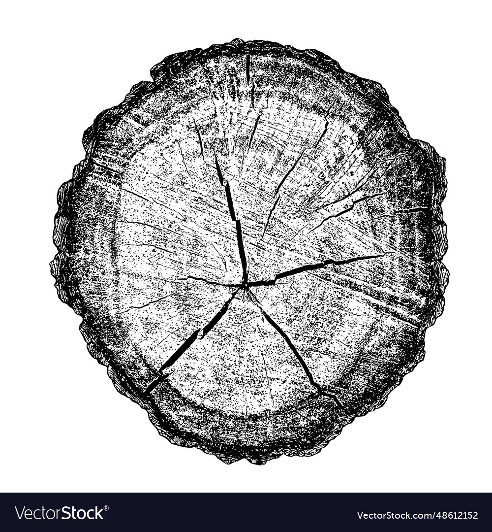 Distressed wood texture Royalty Free Vector Image