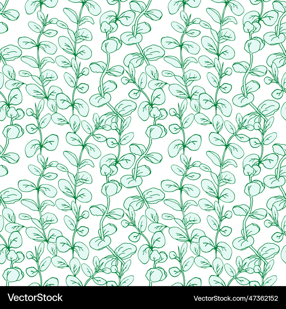 Eucalyptus leaves seamless pattern for surface Vector Image
