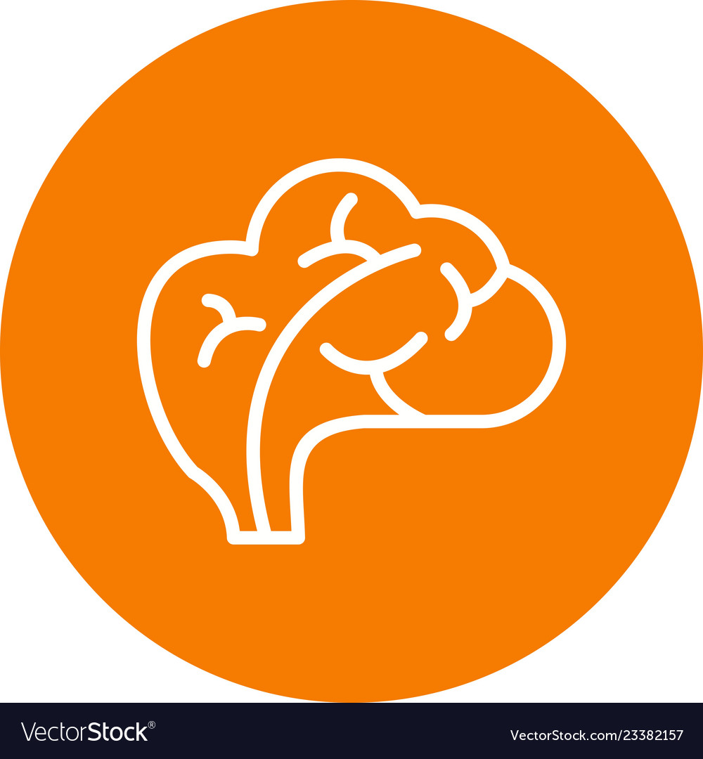 Brain icon Royalty Free Vector Image - VectorStock