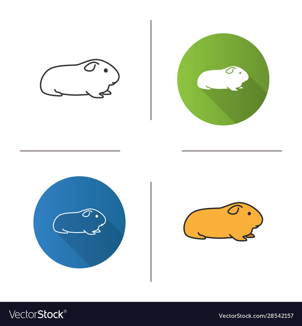 Cavy icon Royalty Free Vector Image - VectorStock