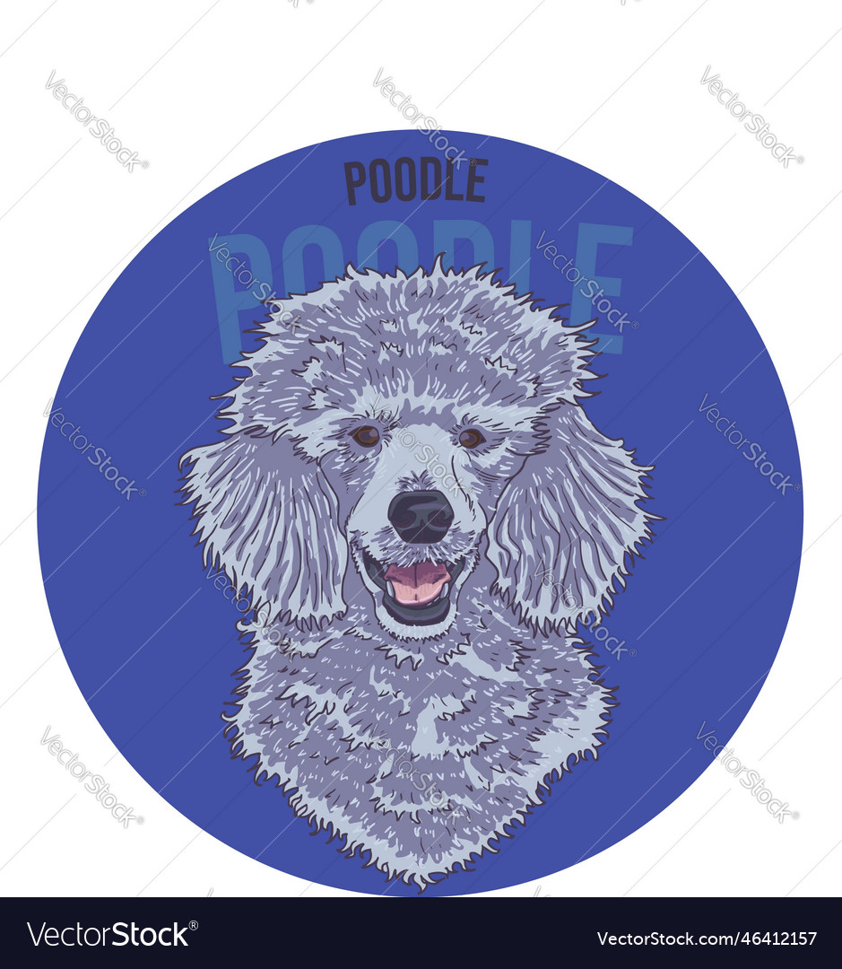 Poodle Royalty Free Vector Image - VectorStock