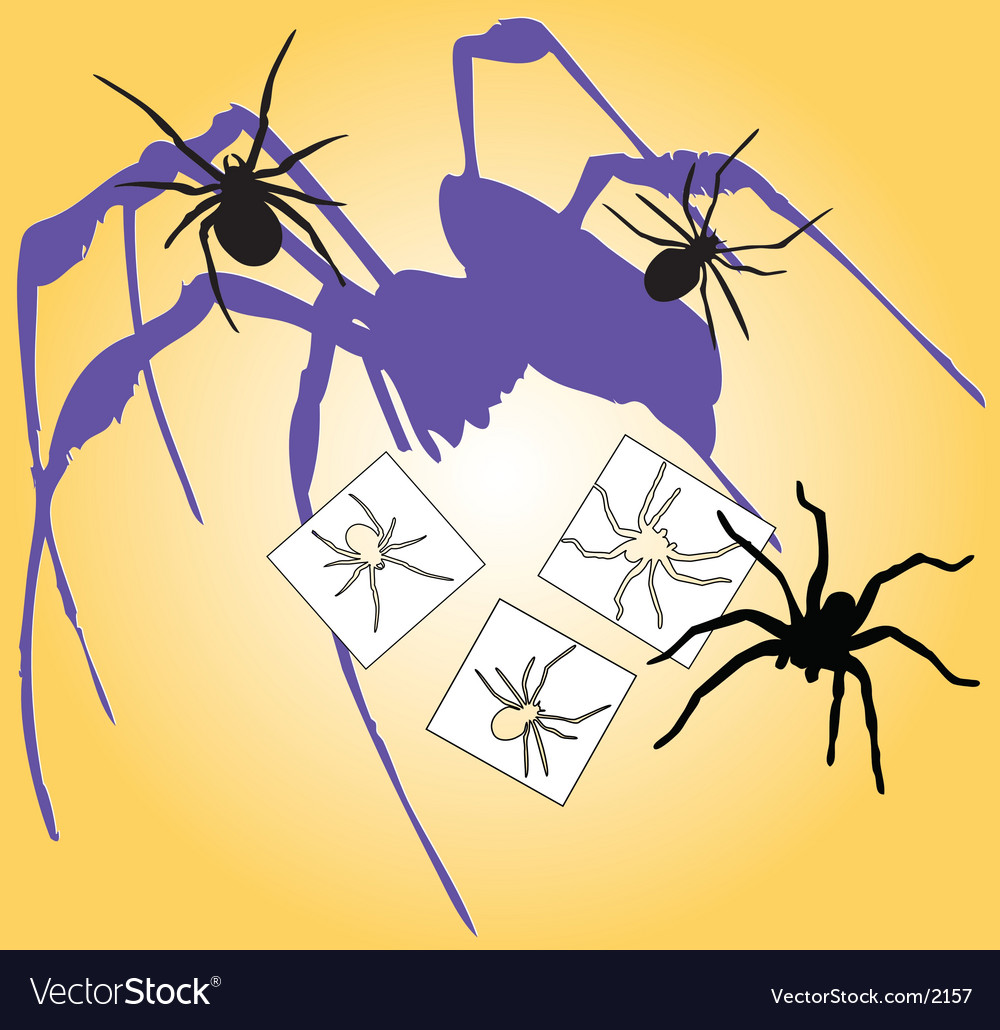 Spiders escape Royalty Free Vector Image - VectorStock