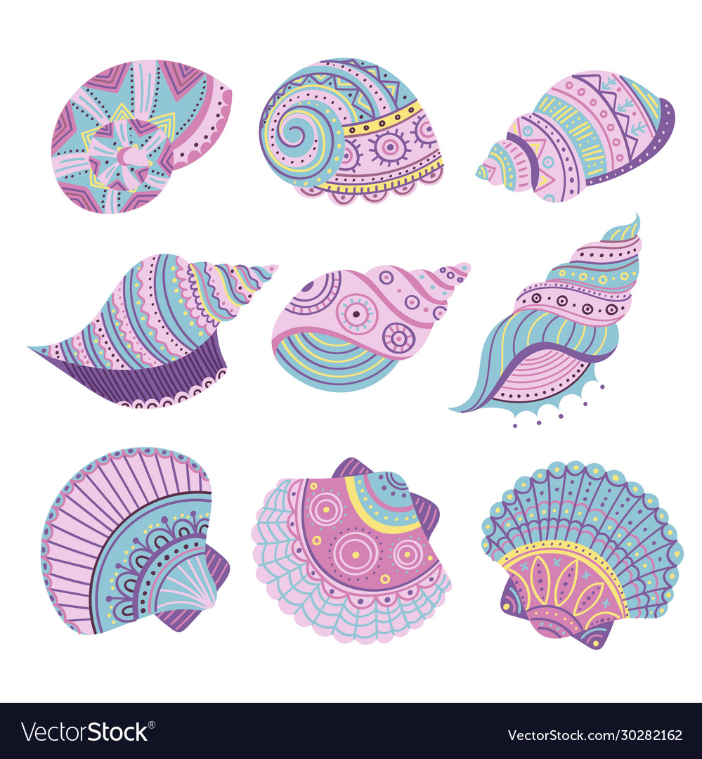 Colorful seashells set Royalty Free Vector Image