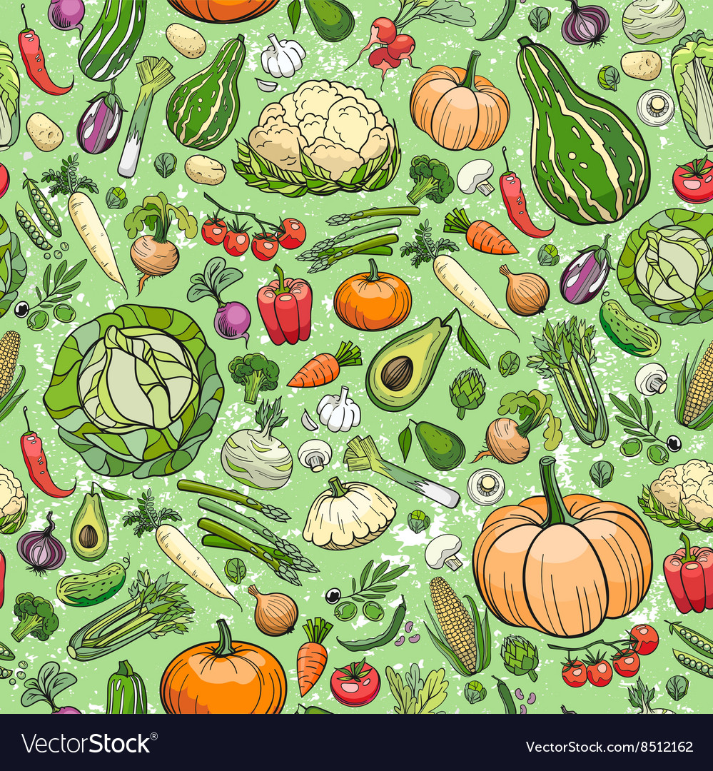 Different vegetables drawings Royalty Free Vector Image