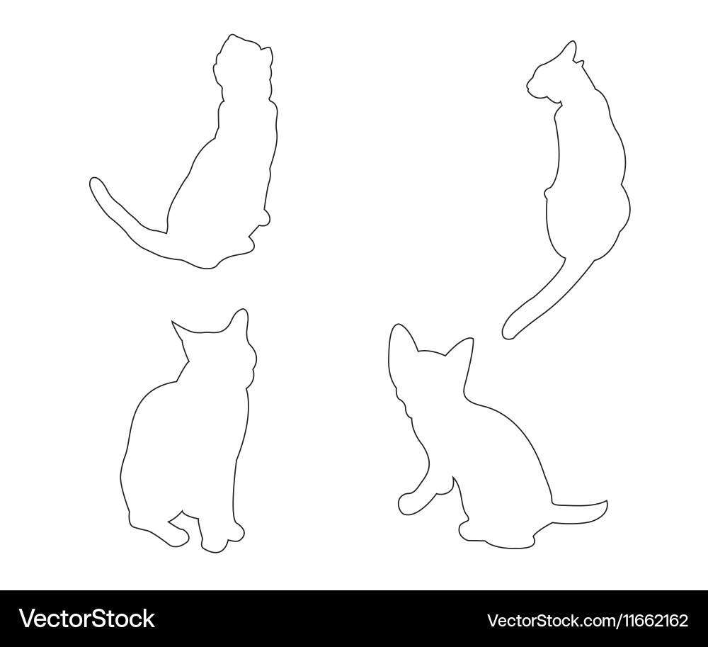 Paths of cats set on the white background Vector Image