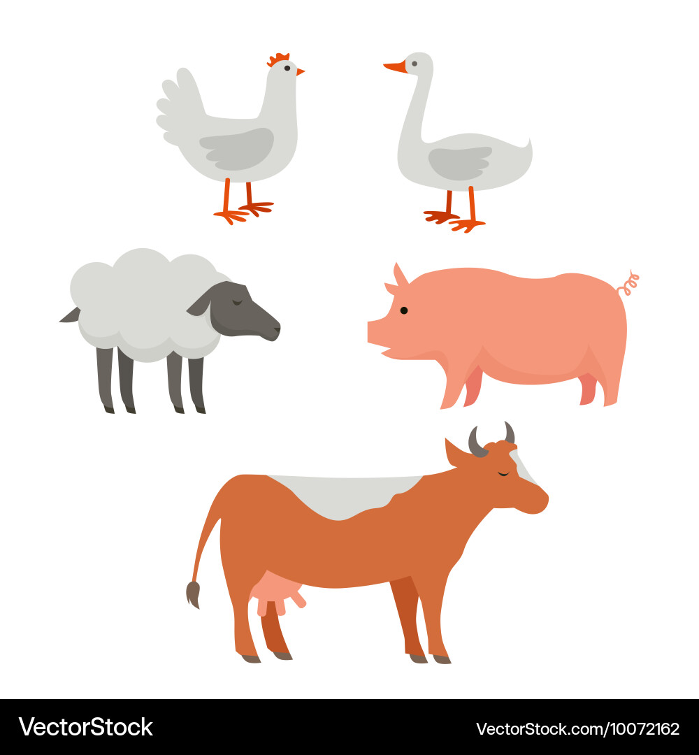 Set of domestic animals flat design Royalty Free Vector