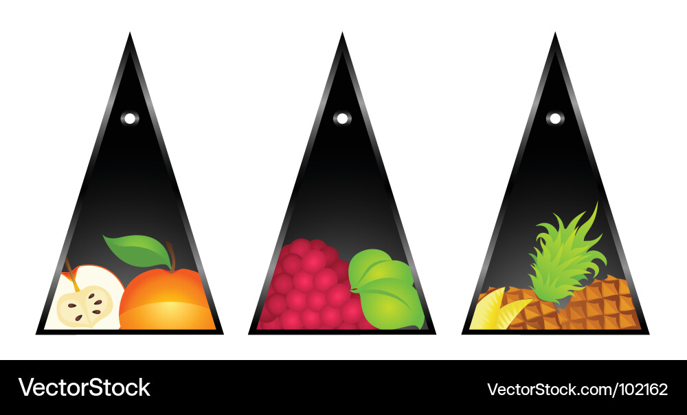 Swing tags Royalty Free Vector Image - VectorStock