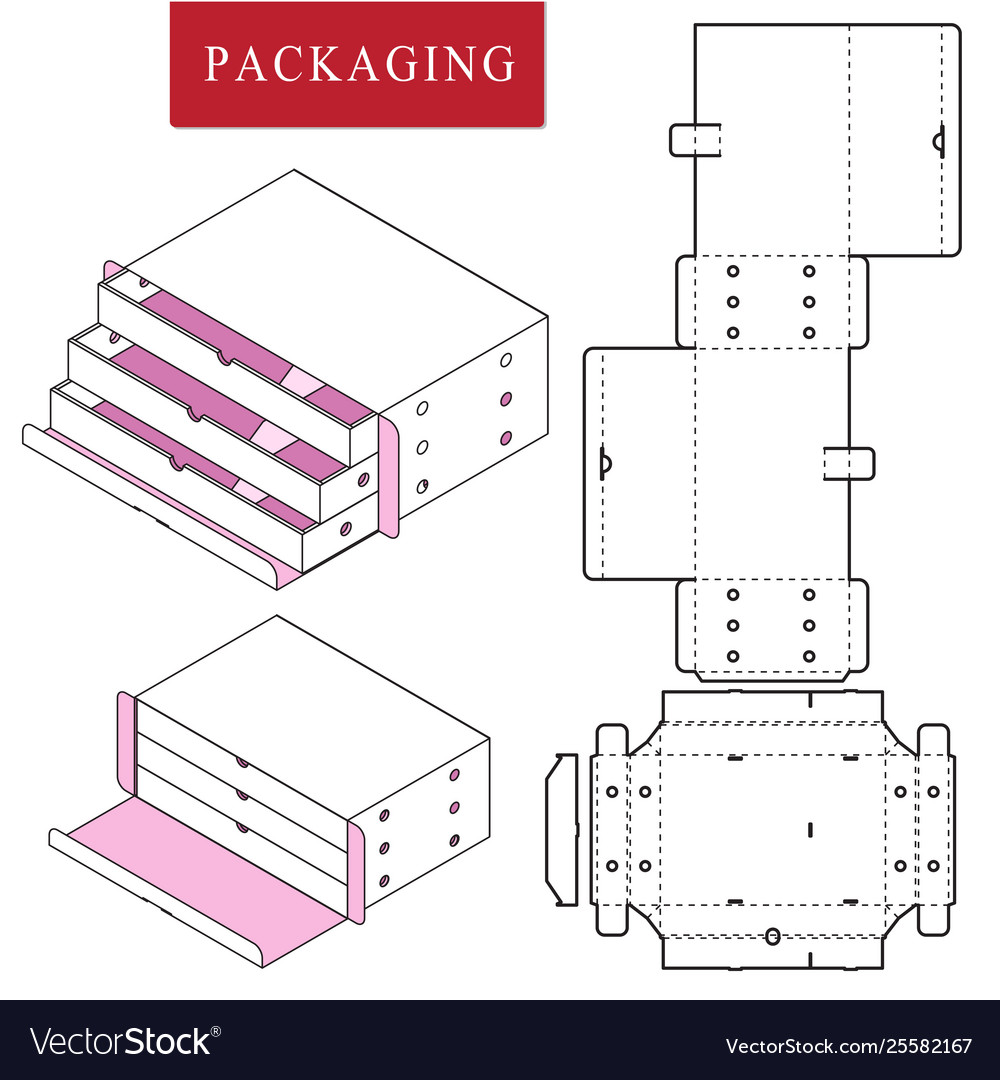 Boxpackage template isolated Royalty Free Vector Image