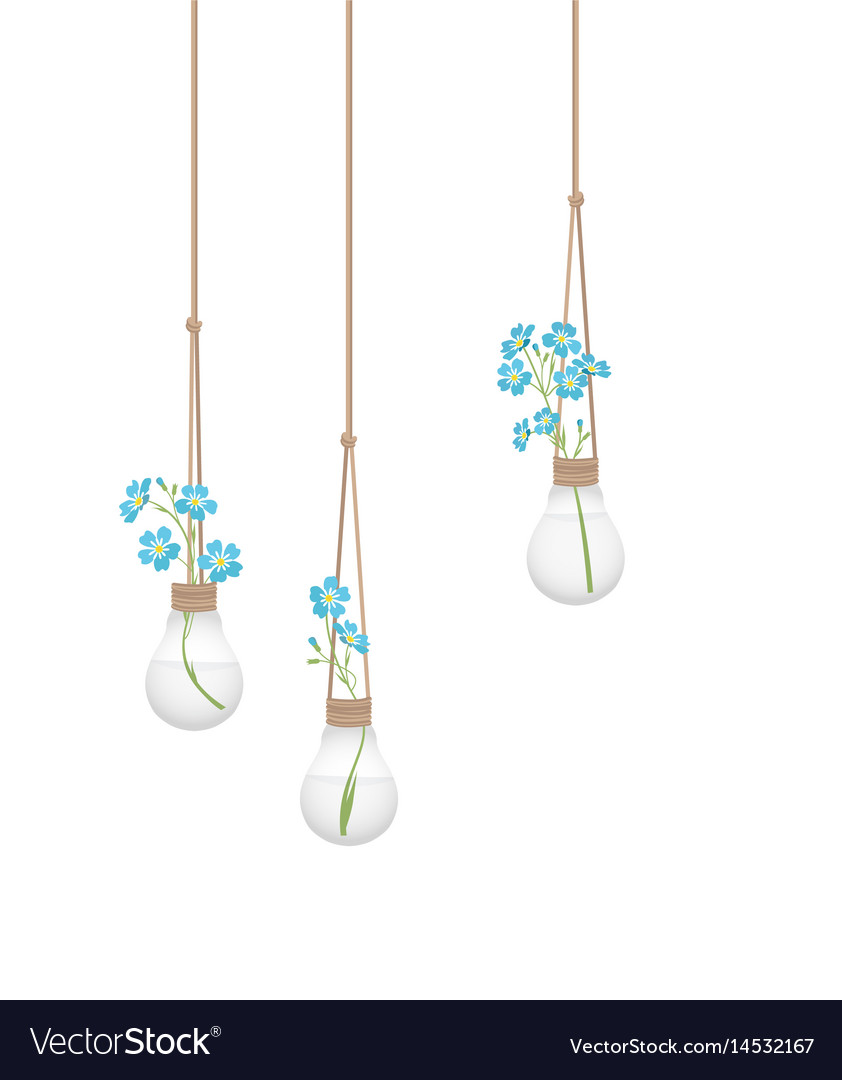 Flower in a light bulb Royalty Free Vector Image