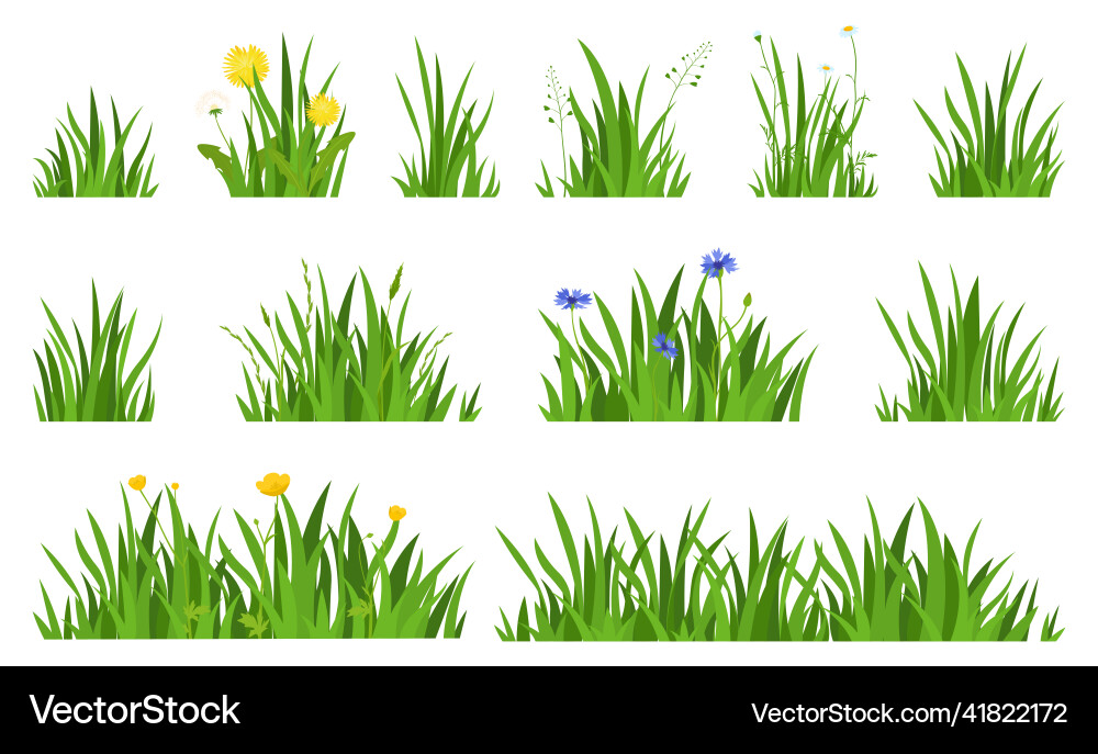 Collection natural green grass with flowers Vector Image