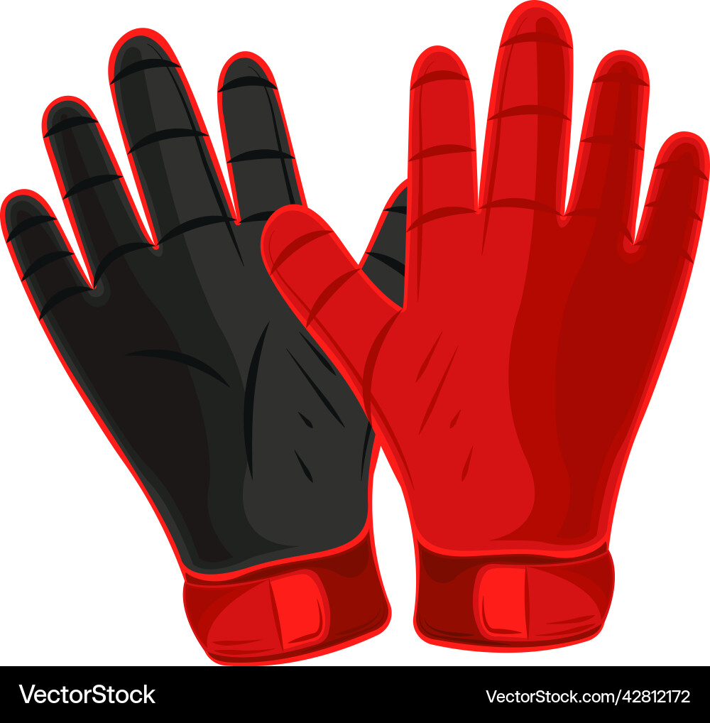 Soccer gloves equipment Royalty Free Vector Image
