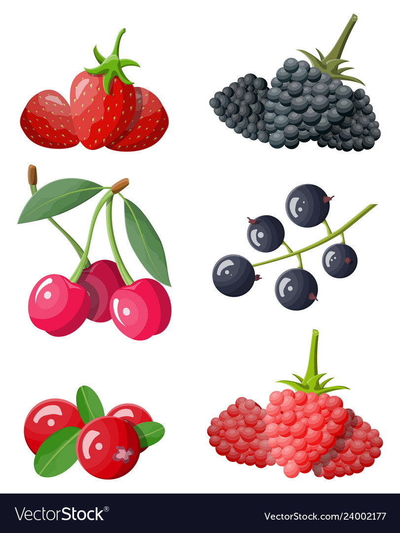 Berry icon set Royalty Free Vector Image - VectorStock