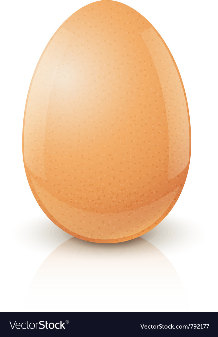 Chicken egg Royalty Free Vector Image - VectorStock