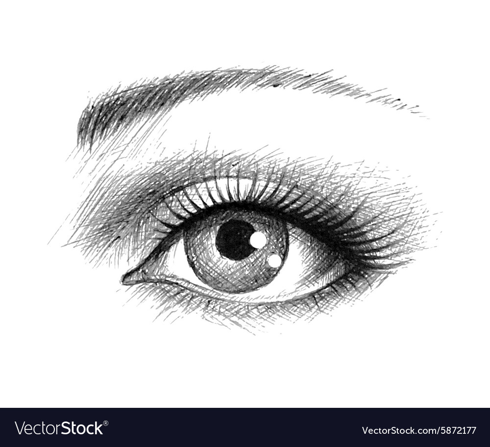 Eye hand-drawn Royalty Free Vector Image - VectorStock