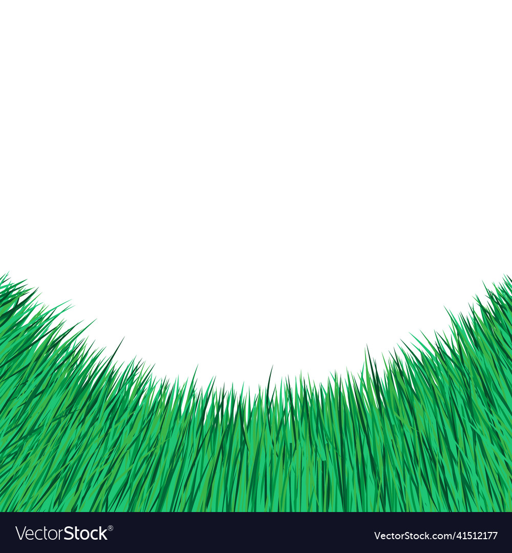 Grass green background Royalty Free Vector Image