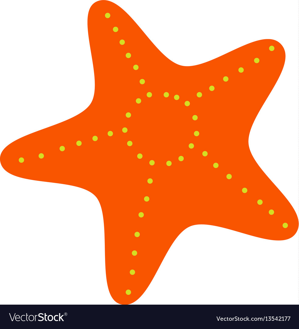 Isolated starfish Royalty Free Vector Image - VectorStock
