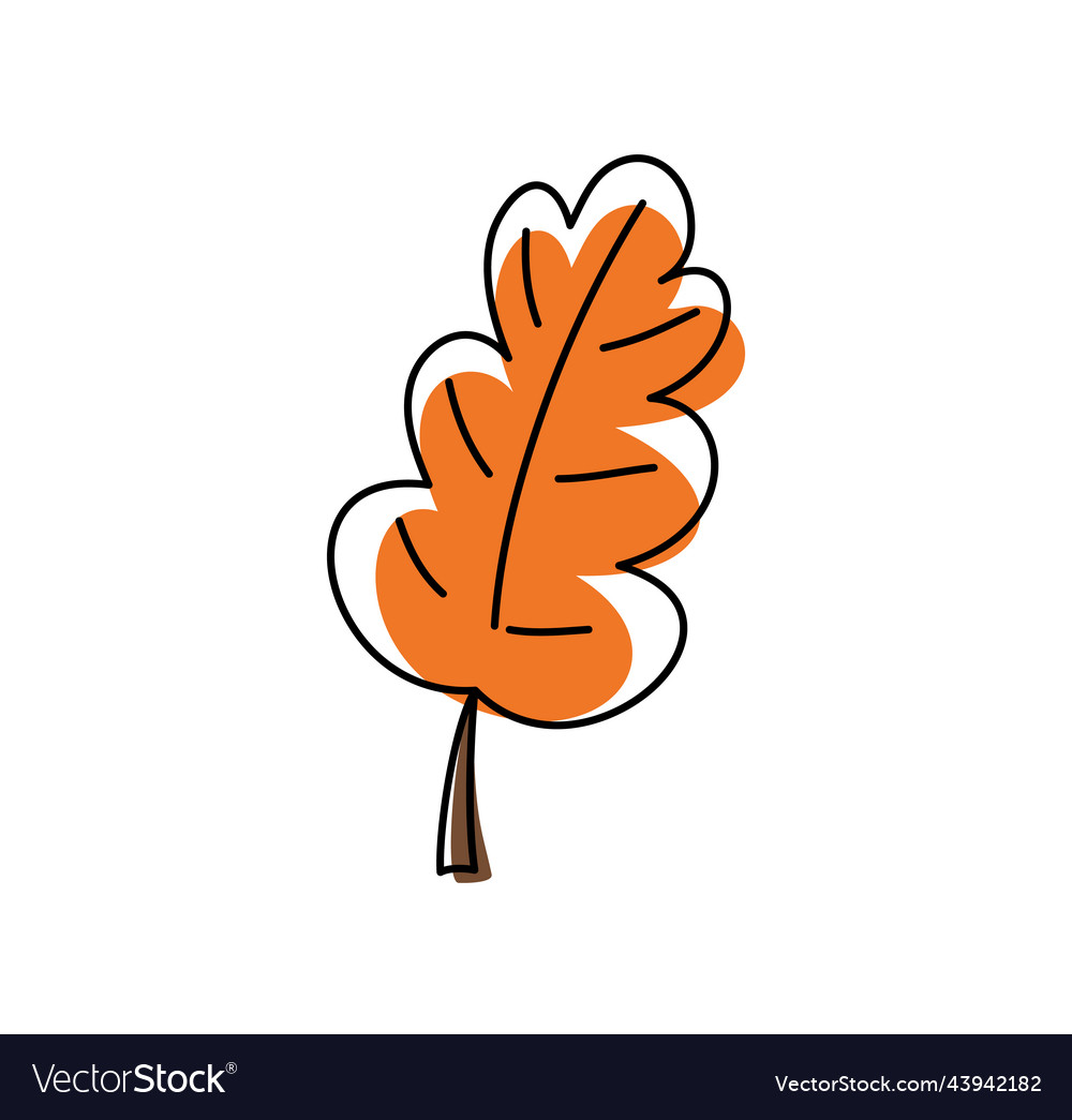 Hand drawn autumn orange leaf doodle style Vector Image Hand drawn autumn orange leaf doodle style Vector Image