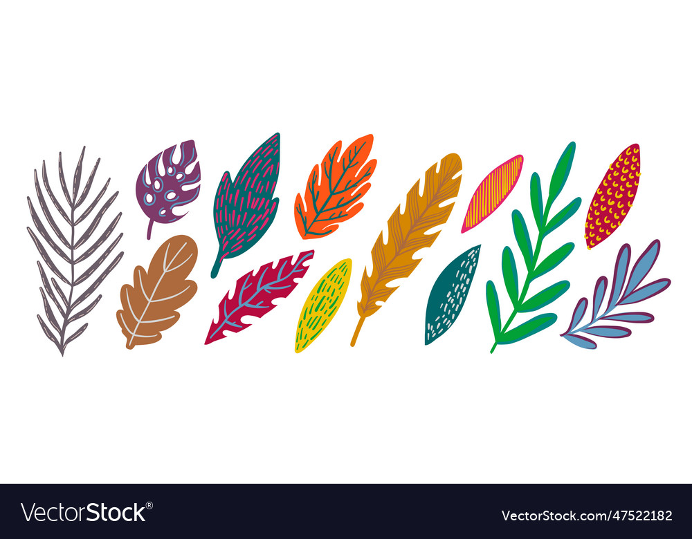 Leaves of trees and plants spring and autumn Vector Image