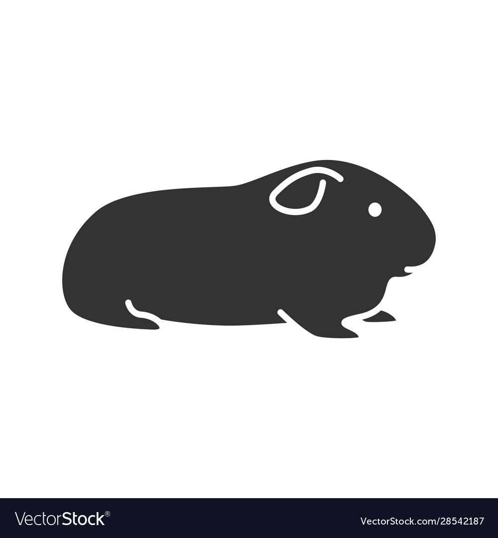 Cavy glyph icon Royalty Free Vector Image - VectorStock