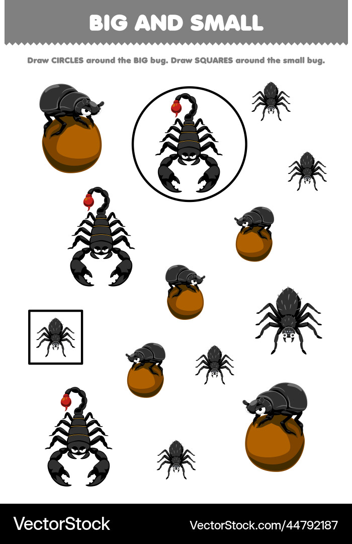 Education game for children arrange by size big Vector Image