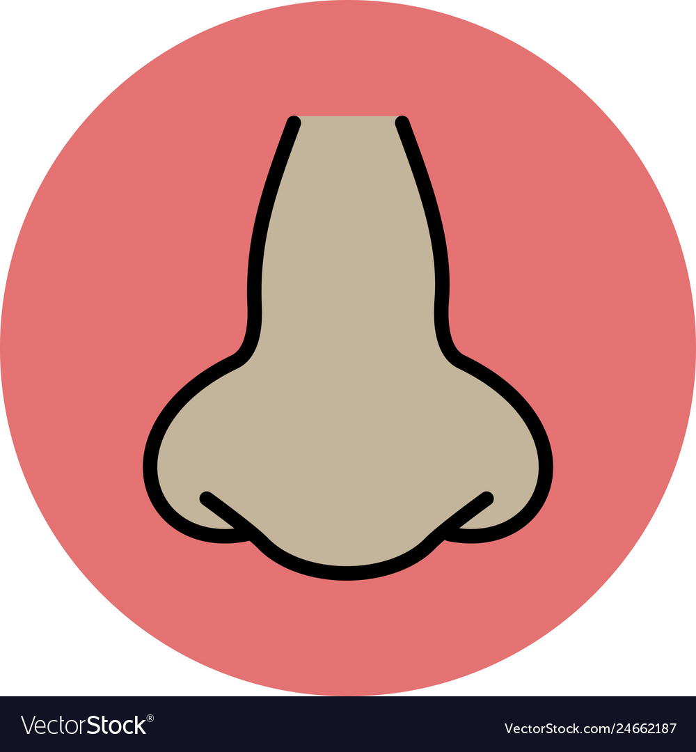 Nose icon Royalty Free Vector Image - VectorStock