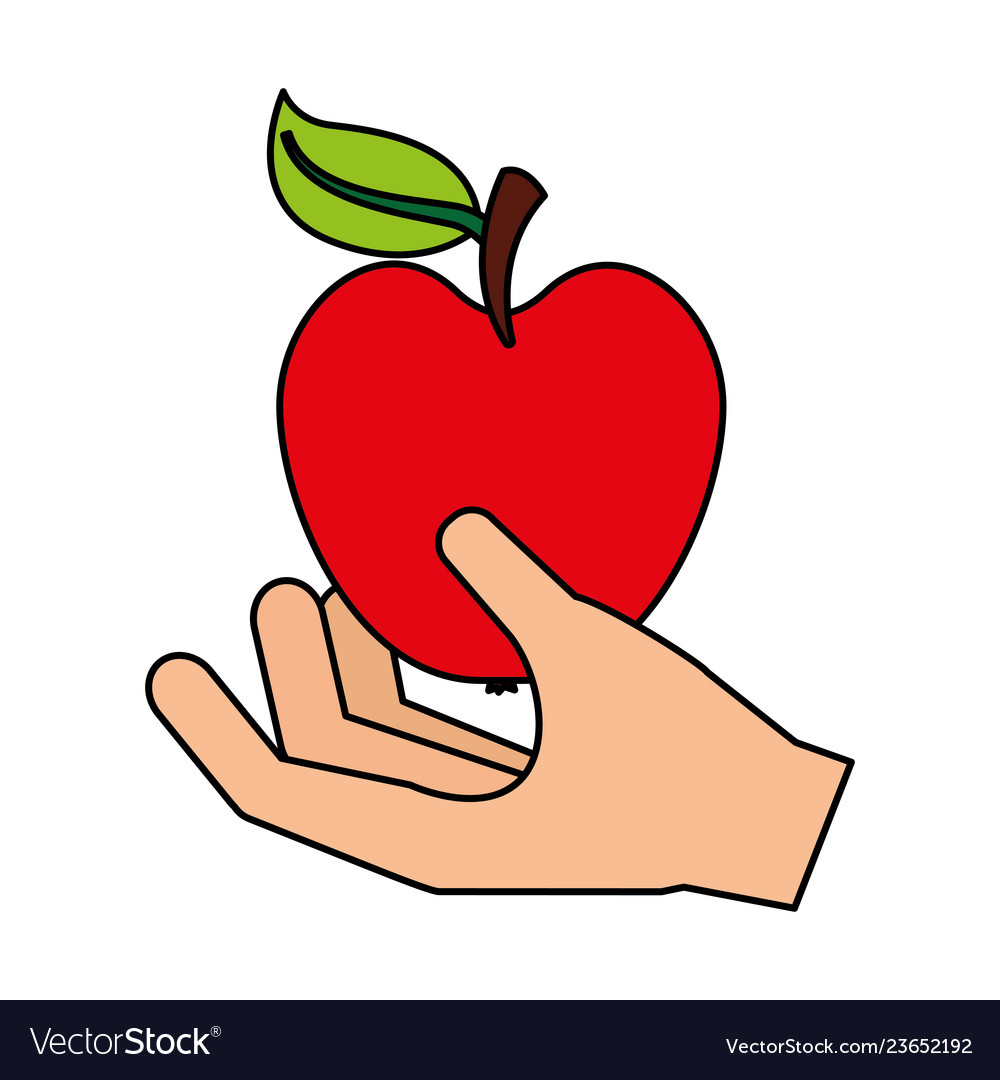 Hand with fresh apple Royalty Free Vector Image