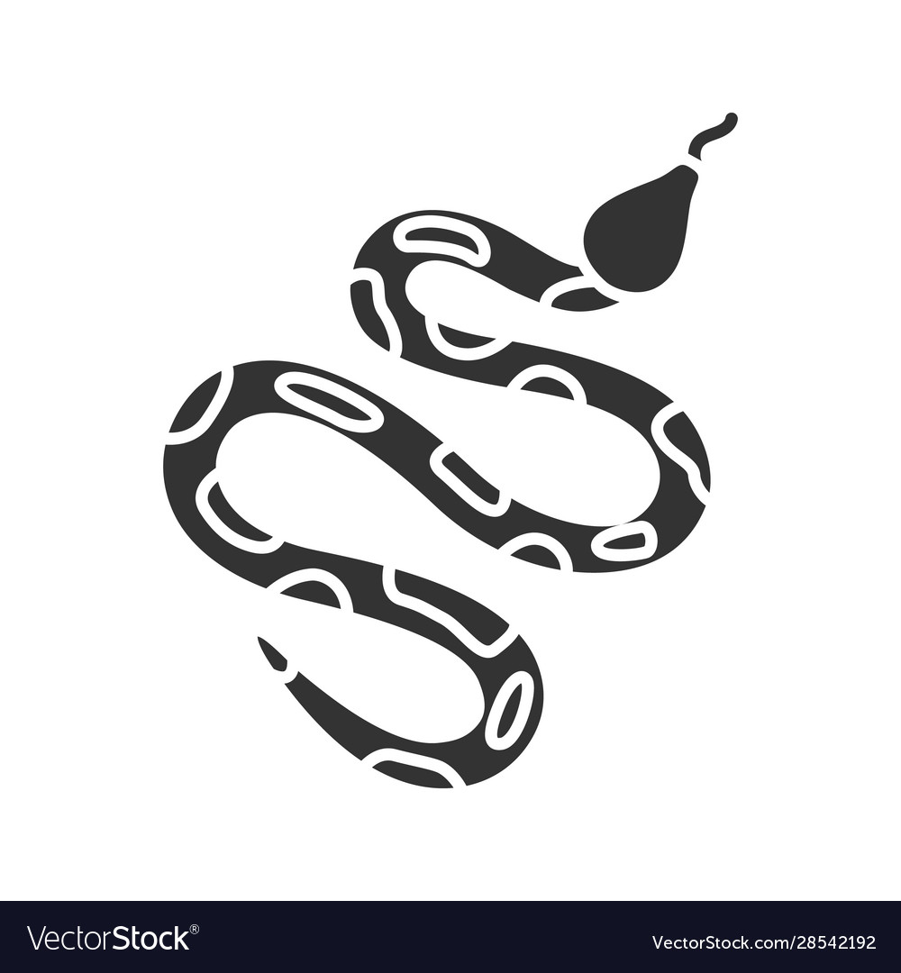 Python glyph icon Royalty Free Vector Image - VectorStock