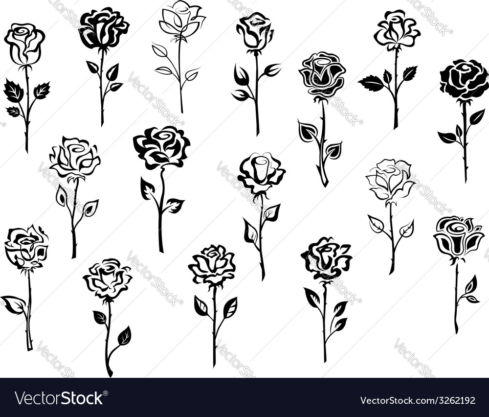 Set rose icons Royalty Free Vector Image - VectorStock