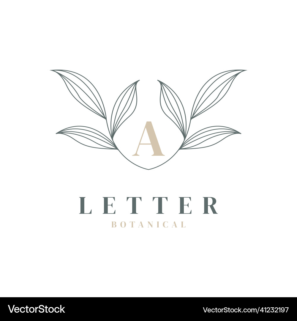 Initial letter a floral and botanical logo nature Vector Image