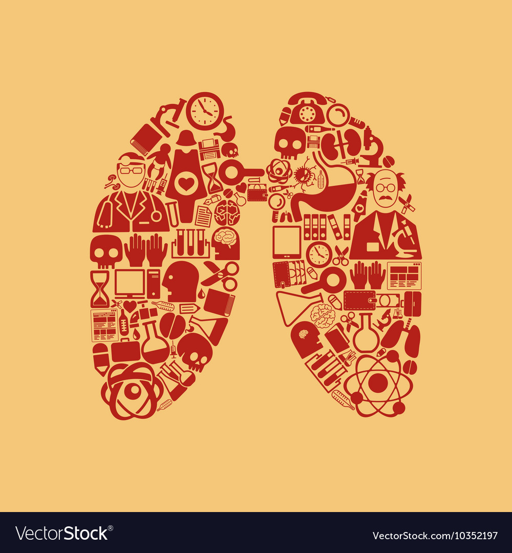 Lung icon Royalty Free Vector Image - VectorStock