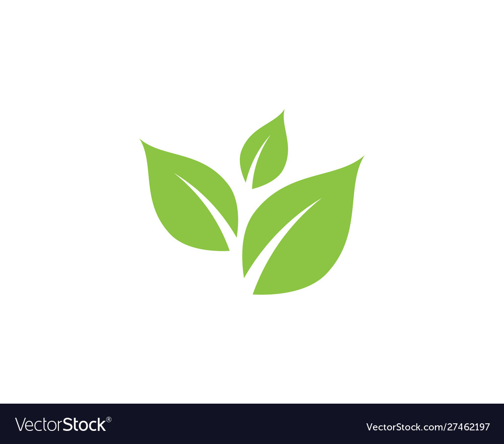 Tree leaf icon template Royalty Free Vector Image