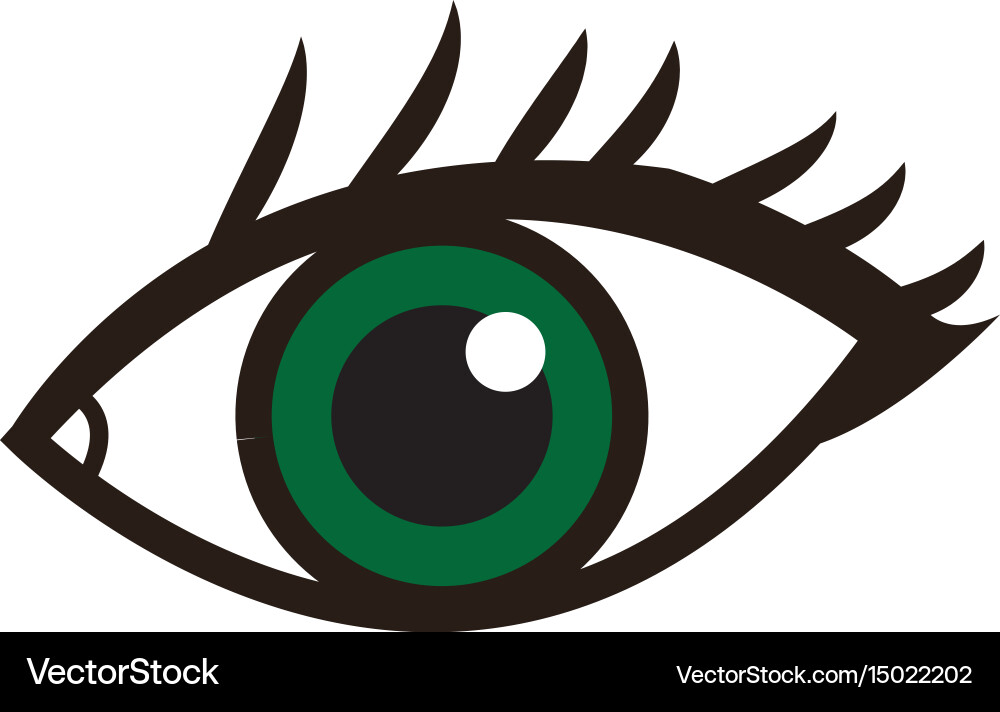 Cartoon eye human vision look watch icon Vector Image