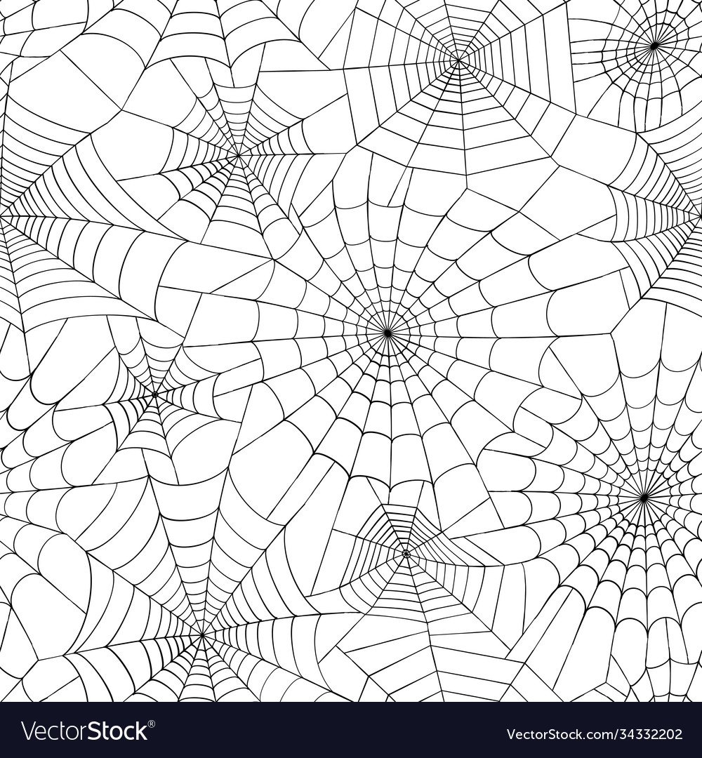 Spider web concept Royalty Free Vector Image - VectorStock