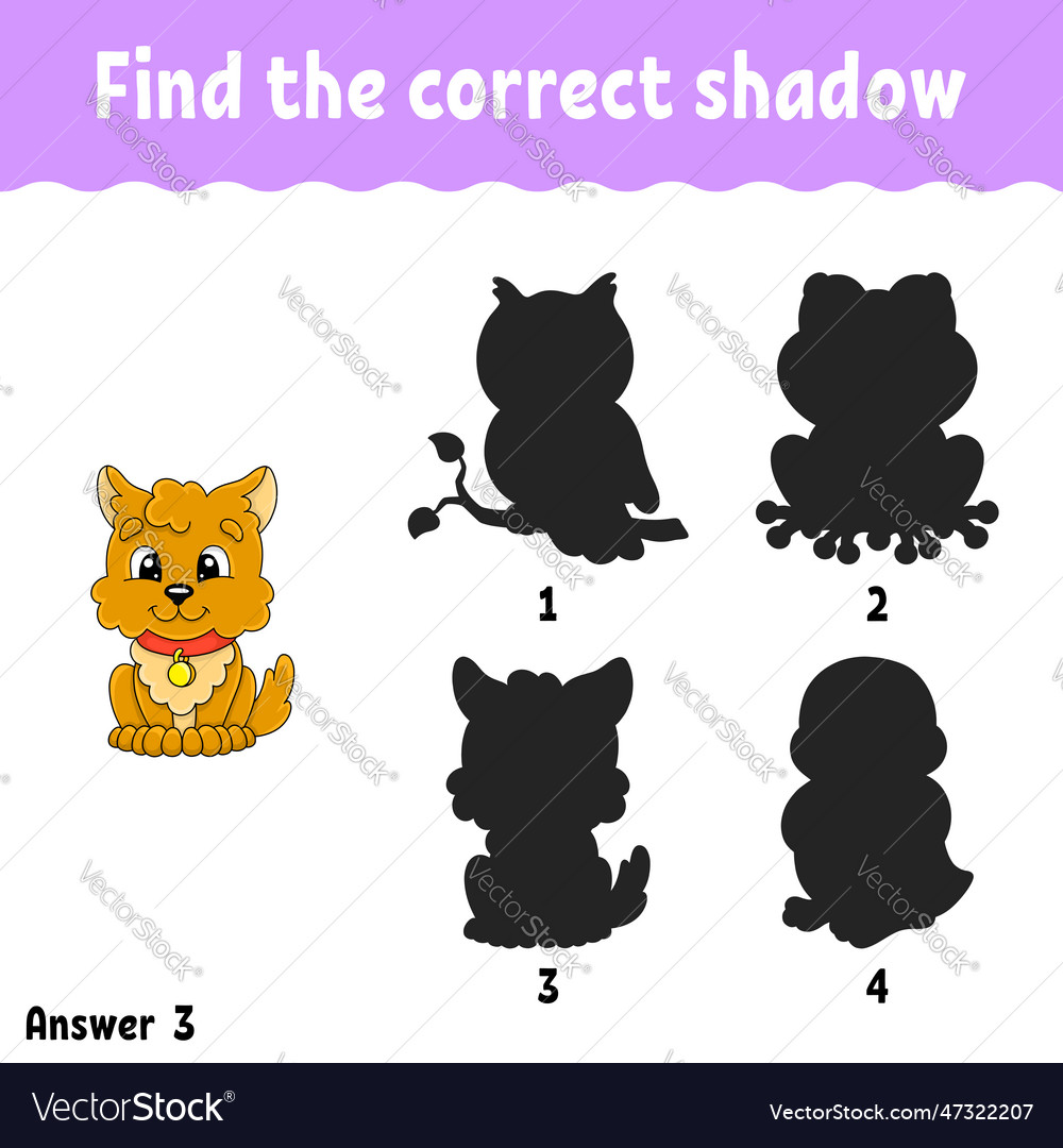 Find the correct shadow education developing Vector Image