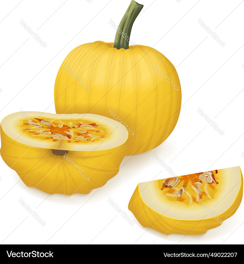 Whole and chopped mellow yellow pumpkin Royalty Free Vector
